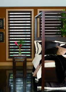 Window Fashions: What are Allure Transitional Shades by Lafayette